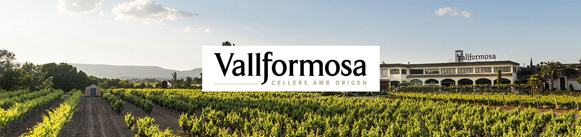 Vallformosa, consultoría de branding | Lifting Group